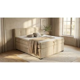 ED EXCITING DESIGN Boxspringbett &raquo;FANES, Doppelbett mit Bettkasten und Taschenfederkernmatratze H3&laquo; mit 7cm Visco-Topper, hochwertiger Microvelours-