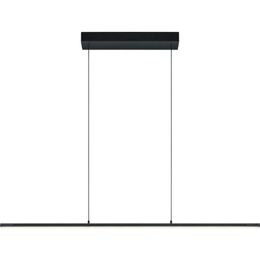 HELL h&ouml;llisch gutes Licht LED Pendelleuchte &raquo;QUEENS 2.0&laquo; LED-Modul 1 Stk. warmwei&szlig; - kaltwei&szlig; Vertical dim, CCT, Stufenlos h&ouml;henverstellbar 1, 1 Stk.