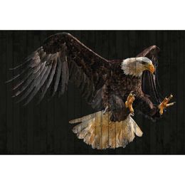 ARCHITECTS PAPER Fototapete &raquo;Atelier 47 Polygon Eagle 2&laquo; Holz glatt Vlies, Wand, Schr&auml;ge, Decke braun Vlies B/L: 4m x 2,7m