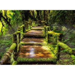 papermoon Fototapete &raquo;Rainforest at Ang Ka&laquo; glatt bunt Vlies B/L: 1,5m x 1,11m, Bahnen: 7 Stk.