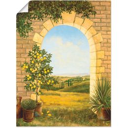Artland Wandbild &raquo;Zitronenbaum vorm Torbogen II&laquo; Fensterblick 1 Stk. tlg. als Leinwandbild, Poster in verschied. Gr&ouml;&szlig;en bunt B/H/T: 45cm x 60cm, Poster 
