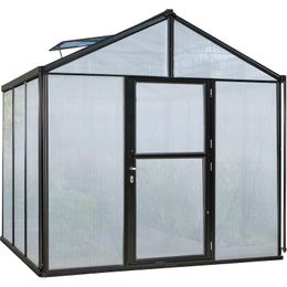 Vitavia Gew&auml;chshaus &raquo;Zeus 6200&laquo; besonders stabile Alu-Profile, 10 mm Hohlkammerplatten schwarz B/H/T: 258,4cm x 250,4cm x 242cm