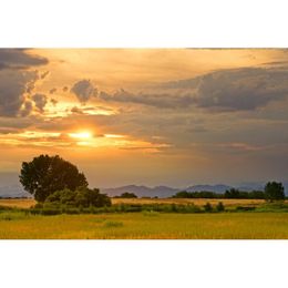 papermoon Fototapete &raquo;Sonnenuntergangslandschaft&laquo; bunt Vlies B/L: 3m x 2,23m, Bahnen: 6 Stk.