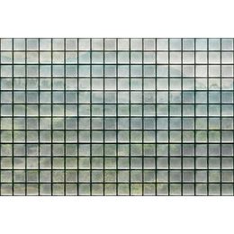 Livingwalls living walls Fototapete &raquo;Walls by Patel Greenhouse&laquo; glatt Vlies, Wand gr&uuml;n Vlies B/L: 4m x 2,7m
