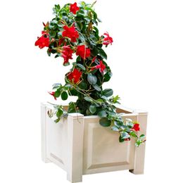 KHW Pflanzk&uuml;bel Kunststoff, BxTxH: 43x43x34 cm wei&szlig; Kunststoff B/H/T: 43cm x 34cm x 43cm