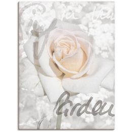 Artland Wandbild &raquo;In Lettern - Rose&laquo; Blumen 1 Stk. tlg. als Leinwandbild, Poster in verschied. Gr&ouml;&szlig;en wei&szlig; B/H/T: 60cm x 80cm, Leinwandbild Blumen, 1 Stk.