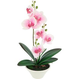 I.GE.A. Kunstblume &raquo;Kunstorchidee im Topf&laquo; 30cm k&uuml;nstliche Orchidee mit Bl&uuml;ten Phalaenopsis Kunstpflanze Pflanze Polyester B/H/L: 18cm x 30cm
