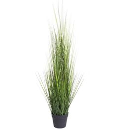 Kunstgras &raquo;Gras Festuca&laquo; gr&uuml;n Kunststoff &Oslash;/H: 33cm x 115cm, 1 Stk.