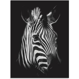 Artland Wandbild &raquo;Zebra&laquo; Zebra Bilder 1 Stk. tlg. als Alubild, Leinwandbild in verschied. Gr&ouml;&szlig;en schwarz B/H/T: 30cm x 40cm, Alu-Dibond-Druck Zebra Bilder 