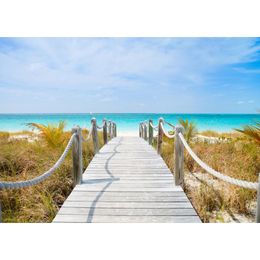 papermoon Fototapete &raquo;Dunes Carribean Beach&laquo; glatt bunt Vlies B/L: 3m x 2,23m, Bahnen: 6 Stk.