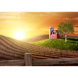 papermoon Fototapete &raquo;Morning on the Farm&laquo; glatt bunt Vlies B/L: 3m x 2,23m, Bahnen: 6 Stk.