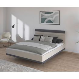 Rauch Futonbett &raquo;Bett Doppelbett Holzbett SAJO&laquo; mit Farb-Absetzungen in komfortabler Sitzh&ouml;he MADE IN GERMANY beige Liegefl&auml;che L&auml;nge B: 200cm x 160cm