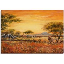 Artland Leinwandbild &raquo;Afrikanische Steppe mit L&ouml;wen&laquo; Afrika 1 Stk. tlg. auf Holzrahmen gespannt braun B/H/T: 70cm x 50cm, Leinwandbild Afrika, 1 Stk.