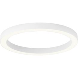 Neuhaus PURE LED Deckenleuchte &raquo;PURE Lines Round&laquo; LED-Board 1 Stk. warmwei&szlig; - kaltwei&szlig; Stufenlos dimmbar &uuml;ber Fernbedienung, CCT wei&szlig; 1, &Oslash; 50cm H: 