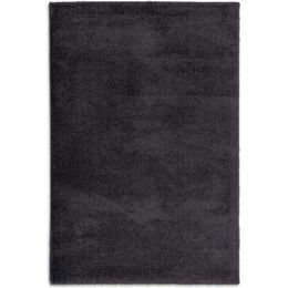 Astra Teppich &raquo;Salerno 250&laquo; rechteckig 30 mm H&ouml;he dichter Indoor Teppich, Designed in Germany, Oeko-Tex Polyester B : 200cm 1 Stk., 30mm, L: 290cm