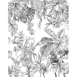 marburg Fototapete botanisch moderne Tapete f&uuml;r Wohnzimmer Schlafzimmer K&uuml;che schwarz Vlies B/L: 2,12m x 2,7m