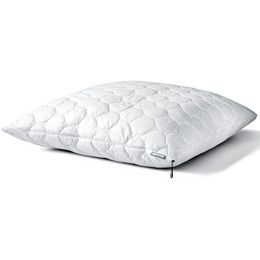 Dunlopillo Baumwollkissen &raquo;Fusion 40x80 oder 80x80 cm, luftdurchl&auml;ssig, Climate-Control-Bezug&laquo; F&uuml;llung: Polyester 1 Stk. tlg. Dunlofill Helix-Micro-Faser, 