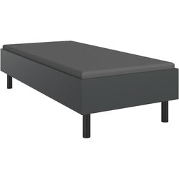 wimex Bett &raquo;Easy, gro&szlig;e Auswahl an Gr&ouml;&szlig;en und Farben, auch in Komforth&ouml;he&laquo; Made in Germany, ohne Kopfteil, ideal unter Dachschr&auml;gen oder Fenster grau 