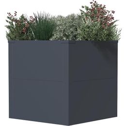 WESTMANN Pflanzk&uuml;bel &raquo;Metall &raquo;Talus&laquo; in S, M, L oder XL&laquo; Anthrazit, in verschiedenen Gr&ouml;&szlig;en erh&auml;ltlich grau Stahl B/H/T: 50cm x 50cm x 50cm