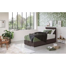 COTTA Boxbett &raquo;Tom mit Bettkasten, Topper und Zierkissen&laquo; Bestseller, Unser Dauertiefpreis schwarz Polyester Struktur soft Polyester 