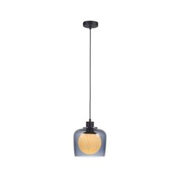 Paul Neuhaus Pendelleuchte &raquo;CALOPUS&laquo; E27 1 Stk. ExklusiveE27 grau 1, 1 Stk.