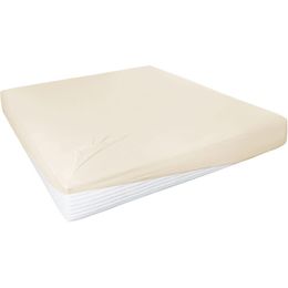 Primera Spannbettlaken &raquo;Elasthan-Feinjersey&laquo; PREMIUM, aus 95% gek&auml;mmter Baumwolle und 5% Elasthan, bis 28 cm H&ouml;he beige Jersey-Elasthan, Obermaterial: 95% 