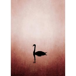 Livingwalls living walls Fototapete &raquo;ARTist Swan Lake&laquo; Vlies, Wand, Schr&auml;ge rot Vlies B/L: 2m x 2,8m