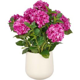 Creativ green Kunstpflanze &raquo;Hortensie&laquo; im eleganten Topf lila Kunststoff B/H/L: 70cm, 1 Stk.