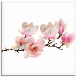 Artland Leinwandbild &raquo;Magnolie&laquo; Blumen 1 Stk. tlg. auf Holzrahmen gespannt pink Leinwand B/H/T: 30cm x 30cm, Leinwandbild Blumen quadratisch, 1 Stk.