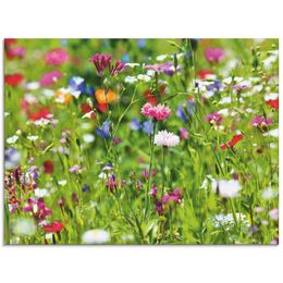 Artland Glasbild &raquo;Blumenwiese I&laquo; Blumenwiese 1 Stk. tlg. in verschiedenen Gr&ouml;&szlig;en gr&uuml;n B/H/T: 60cm x 45cm, Glasbild Blumenwiese Querformat, 1 Stk.