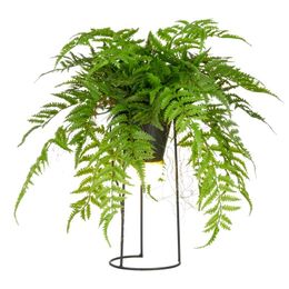 Creativ green Kunstpflanze &raquo;Farn als Dekostandleuchte&laquo; mit LED-Beleuchtung gr&uuml;n Kunststoff B/H/L: 60cm, 1 Stk.