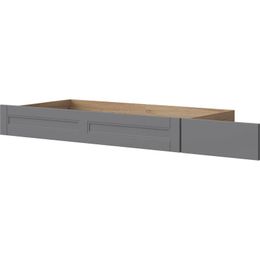 OTTO home Bettschubkasten &raquo;Tara&laquo; f&uuml;r Tara Betten, auf Rollen grau Holzwerkstoff, MDF B/H/T: 188cm x 20cm x 72cm