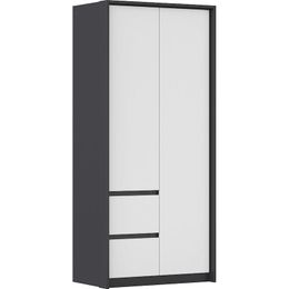 Rauch Dreht&uuml;renschrank &raquo;Mainz mit Passepartout&laquo; optional mit Beleuchtung, Au&szlig;ent&uuml;ren mit Push-to-Open Funktion grau Holzwerkstoff B/H/T: 96cm x 212cm 