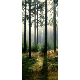 papermoon Fototapete &raquo;Forest - T&uuml;rtapete&laquo; matt bunt Vlies B/L: 0,9m x 2m