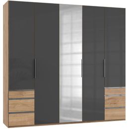wimex Kleiderschrank &raquo;Level by fresh to go&laquo; mit Glas-und Spiegelt&uuml;ren grau B/H/T: 250cm x 236cm x 58cm, Schubladen: 6 Stk. T&uuml;ren: 5 Stk.
