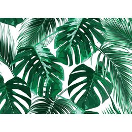 Livingwalls living walls Fototapete &raquo;Designwalls Palm Leaves 1&laquo; glatt Vlies, Wand, Schr&auml;ge, Decke gr&uuml;n Vlies B/L: 3,5m x 2,55m