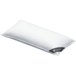 Spessarttraum Federkissen &raquo;Wildente&laquo; 1 Stk. tlg. Kopfkissen 40x80cm & weitere Gr&ouml;&szlig;en silber Bezug: 100% Baumwolle. F&uuml;llung: 70% Federn, 30% Daunen B/H