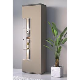 Home Affaire Vitrine &raquo;Serio&laquo; Breite 55 cm braun FSC -zertifizierter Holzwerkstoff, Glas, Kunststoff, Melamin congo/antrazit, B/H/T: 55cm x 180cm x 