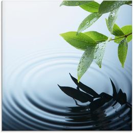 Artland Glasbild &raquo;Pflanze und Wasser&laquo; Zen 1 Stk. tlg. in verschiedenen Gr&ouml;&szlig;en blau B/H/T: 30cm x 30cm, Glasbild Zen, 1 Stk.