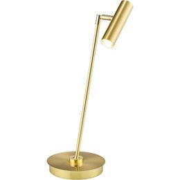HELL h&ouml;llisch gutes Licht LED Tischleuchte &raquo;TOM&laquo; LED-Modul 1 Stk. Warmwei&szlig; Tastdimmer 1, &Oslash; 16cm H: 50cm, 1 Stk.