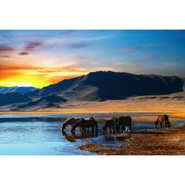 papermoon Fototapete &raquo;Drinking Horses&laquo; glatt bunt Vlies B/L: 1,5m x 1,11m, Bahnen: 7 Stk.