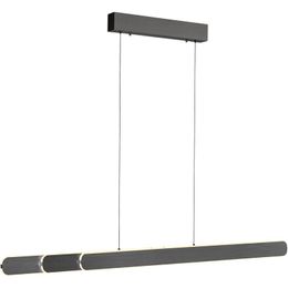 Paul Neuhaus Pendelleuchte &raquo;ADRIANAROU&laquo; LED-Board 1 Stk. warmwei&szlig; - kaltwei&szlig; CCT - &uuml;ber Touch, dimmbar &uuml;ber Touchdimmer, Comfort Lift schwarz 2, H: 6cm, 1 Stk.