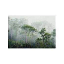 WALLARENA Fototapete Wald in Gr&uuml;n | Gr.: 150 x 105 cm