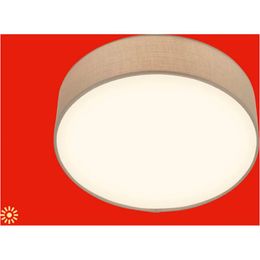 Briloner Leuchten LED Deckenleuchte &raquo;DUCK&laquo; LED-Modul 1 Stk. 30x10,5 cm, Wohnzimmer, Schlafzimmer, Flur, K&uuml;che 1, &Oslash; 3,5cm H: 3,6cm, 1 Stk.