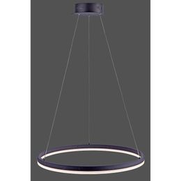 Paul Neuhaus Pendelleuchte &raquo;TITUS&laquo; LED-Board 1 Stk. Warmwei&szlig; LED, dimmbar, Simply Dim, Memory, nach Trennung vom Netz grau 1, &Oslash; 60cm, 1 Stk.