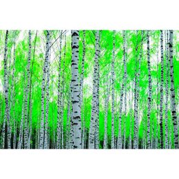 papermoon Fototapete &raquo;Birch Forest&laquo; glatt bunt Vlies B/L: 3,5m x 2,6m, Bahnen: 7 Stk.