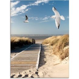 Artland Glasbild &raquo;Nordseestrand auf Langeoog mit M&ouml;wen&laquo; Strand 1 Stk. tlg. in verschiedenen Gr&ouml;&szlig;en blau B/H/T: 45cm x 60cm, Glasbild Strand, 1 Stk.