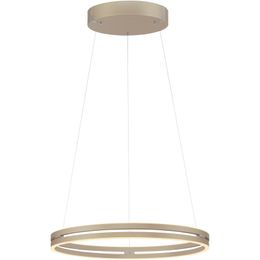 Neuhaus PURE LED Pendelleuchte &raquo;PURE E-Loop&laquo; LED-Board 1 Stk. warmwei&szlig; - kaltwei&szlig; e-LIFT Funktion, CCT, dimmbar &uuml;ber Fernbedienung 2, &Oslash; 70cm H: 40cm, 
