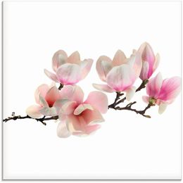 Artland Glasbild &raquo;Magnolie&laquo; Blumen 1 Stk. tlg. in verschiedenen Gr&ouml;&szlig;en pink B/H/T: 30cm x 30cm, Glasbild Blumen, 1 Stk.