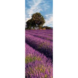 Livingwalls living walls Fototapete &raquo;Lavendelfeld in der Provence&laquo; glatt Vlies, Wand, Schr&auml;ge bunt Vlies B/L: 1m x 2,8m
